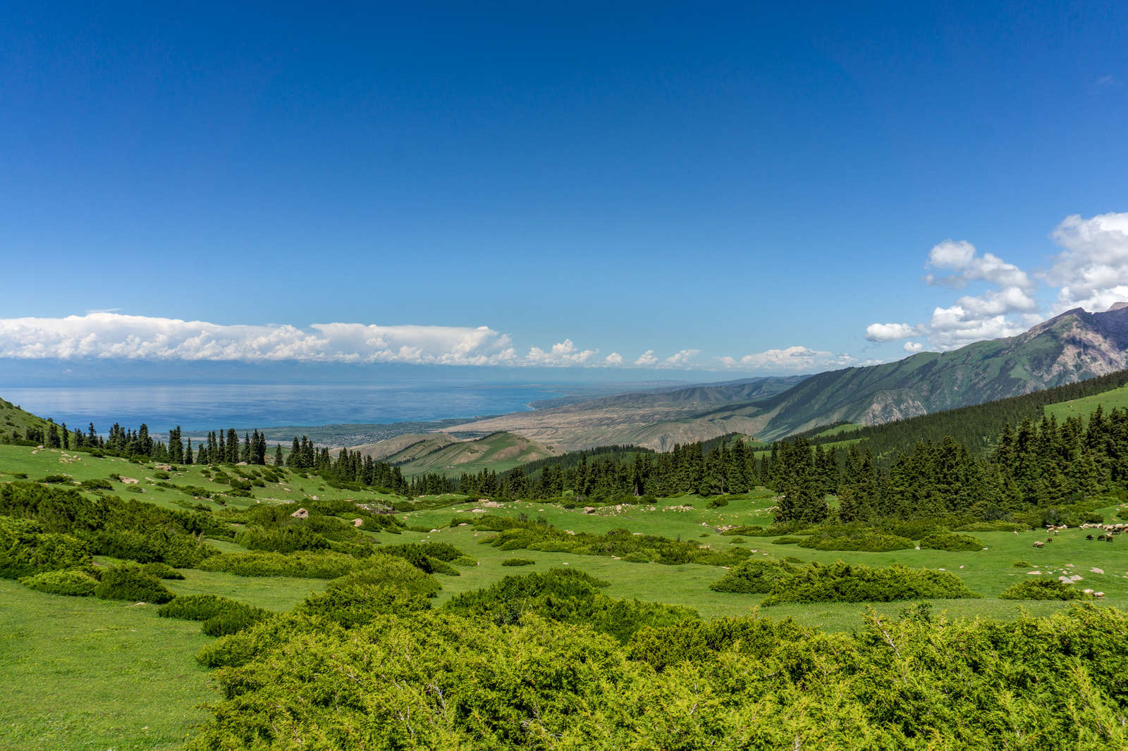 Enjoy a trail ride through the foothills of the Tien Shan mountain ...