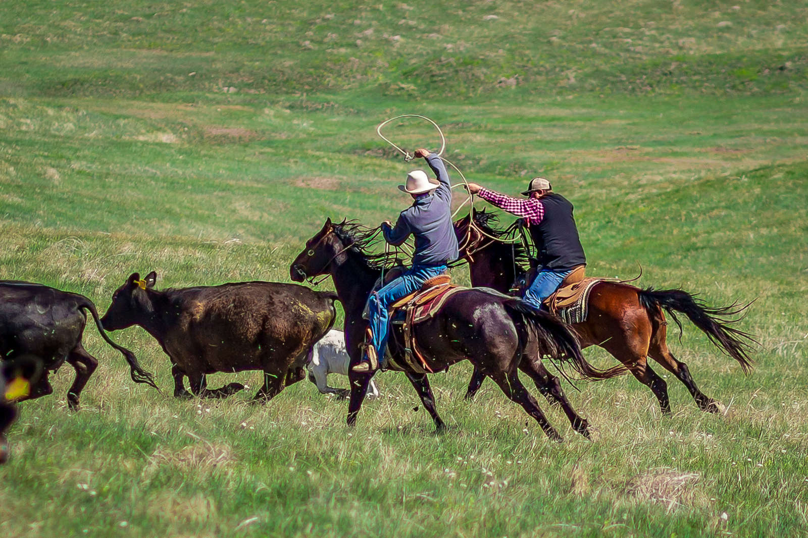 Experience an authentic working ranch week in America | Equus Journeys