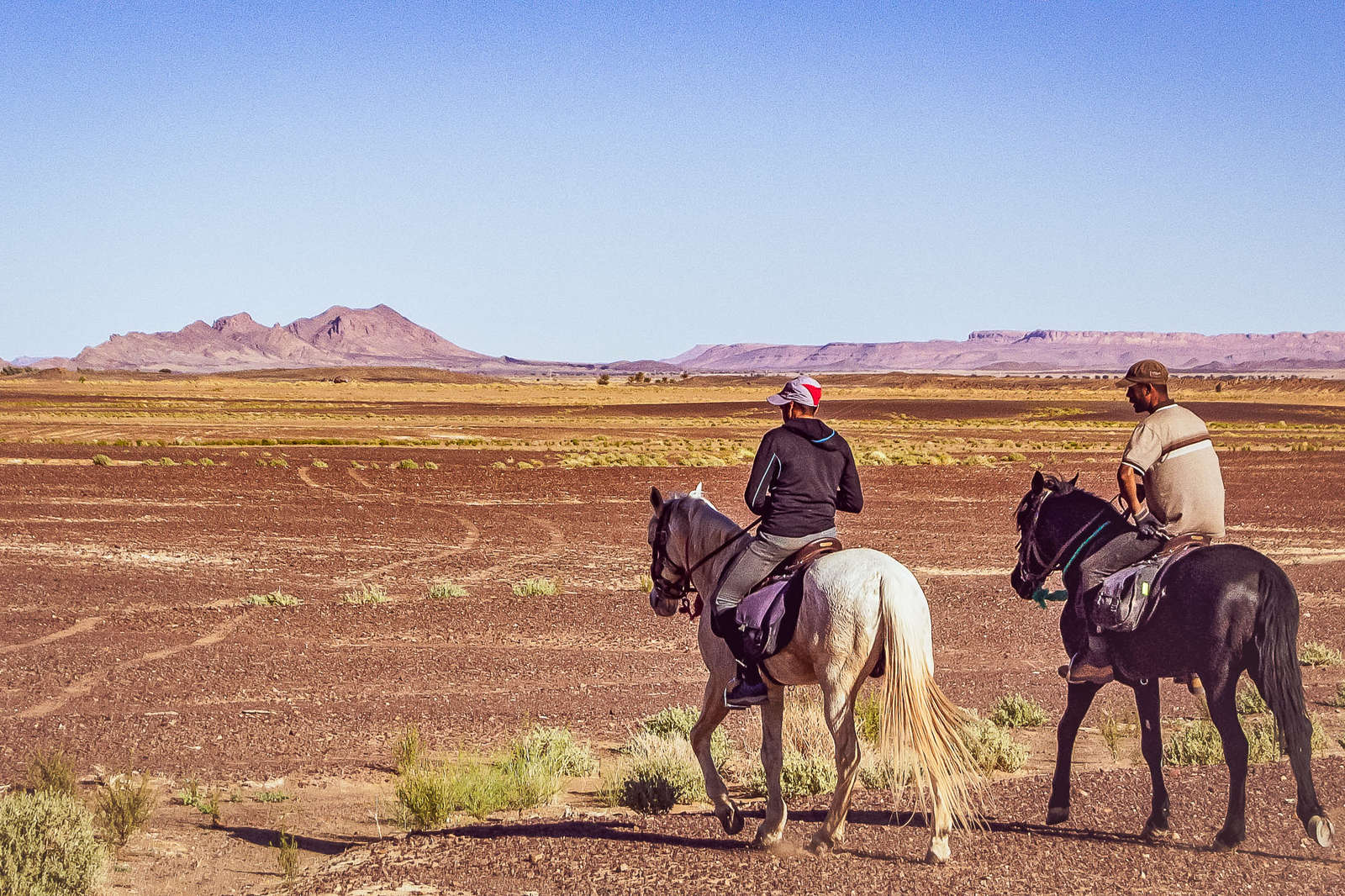 Go on an exciting desert trail ride in the Sahara, Morocco