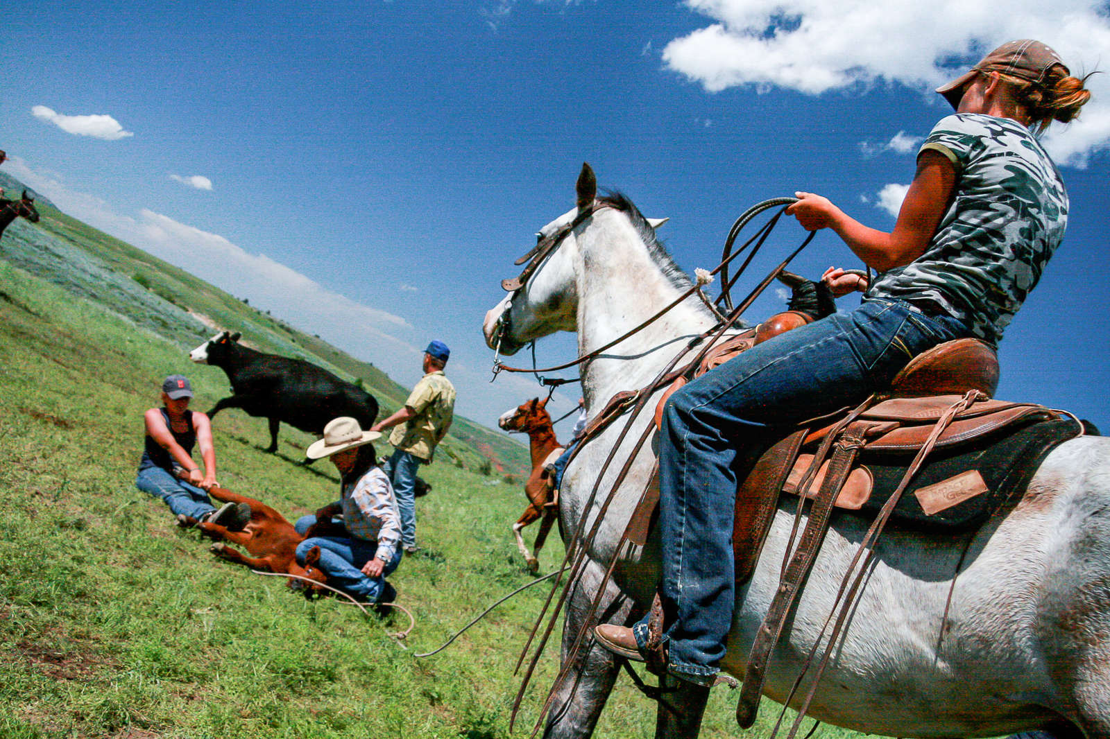 Ride on an authentic working cattle ranch in Montana | Equus Journeys