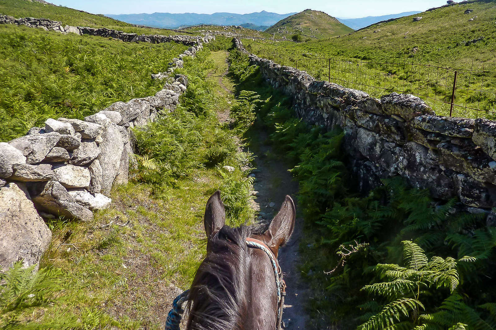 Ride a trail in the wilderness of northern Portugal