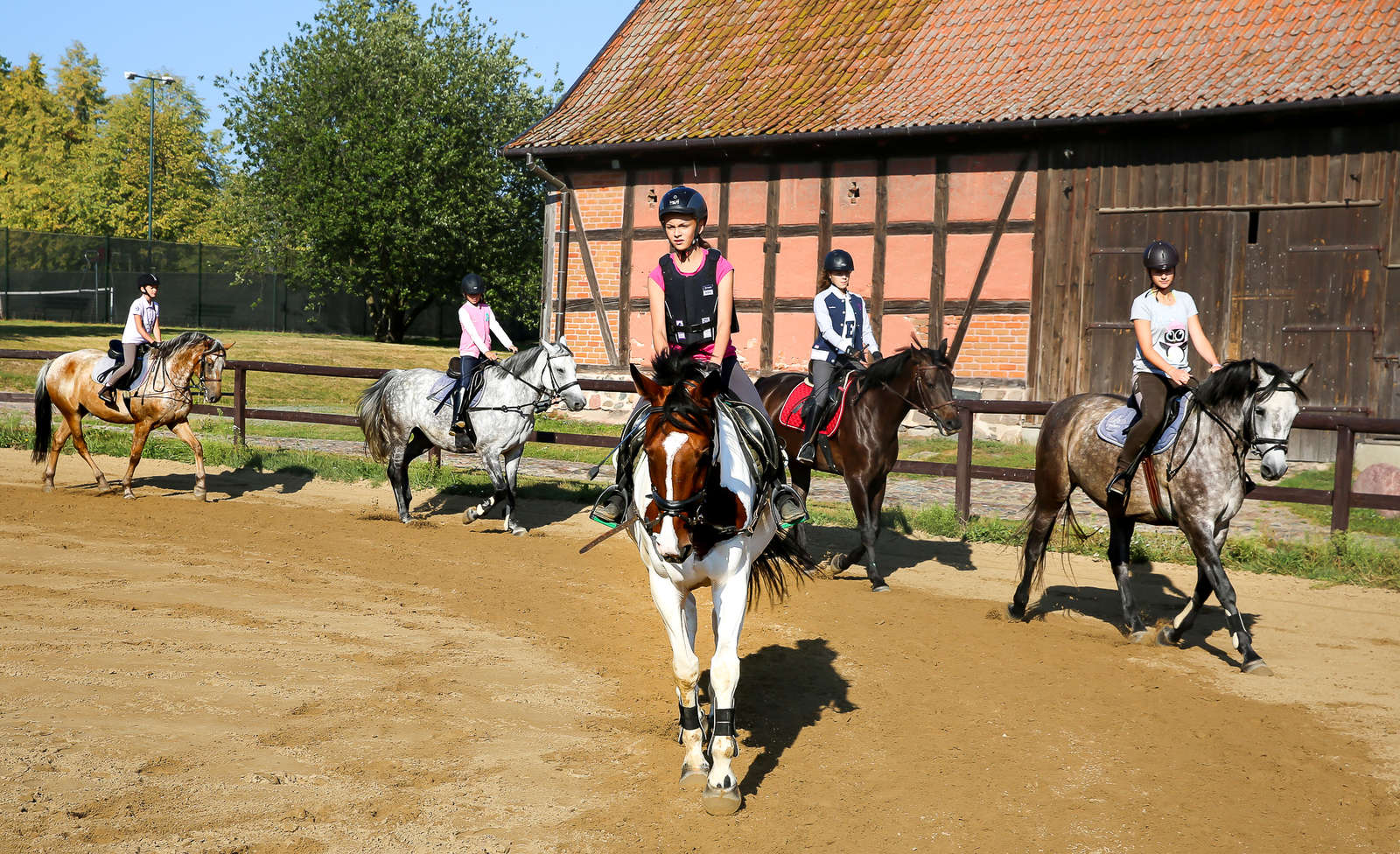 Join a riding holiday at Galiny Palace in Poland | Equus Journeys