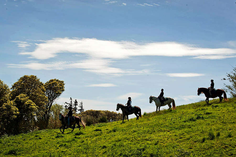 Explore the Azores, Portugal, on horseback | Equus Journeys