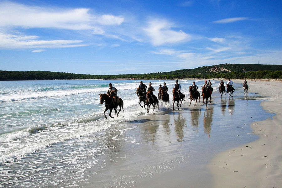 Horse riding holidays and dressage lessons in Italy | Equus Journeys