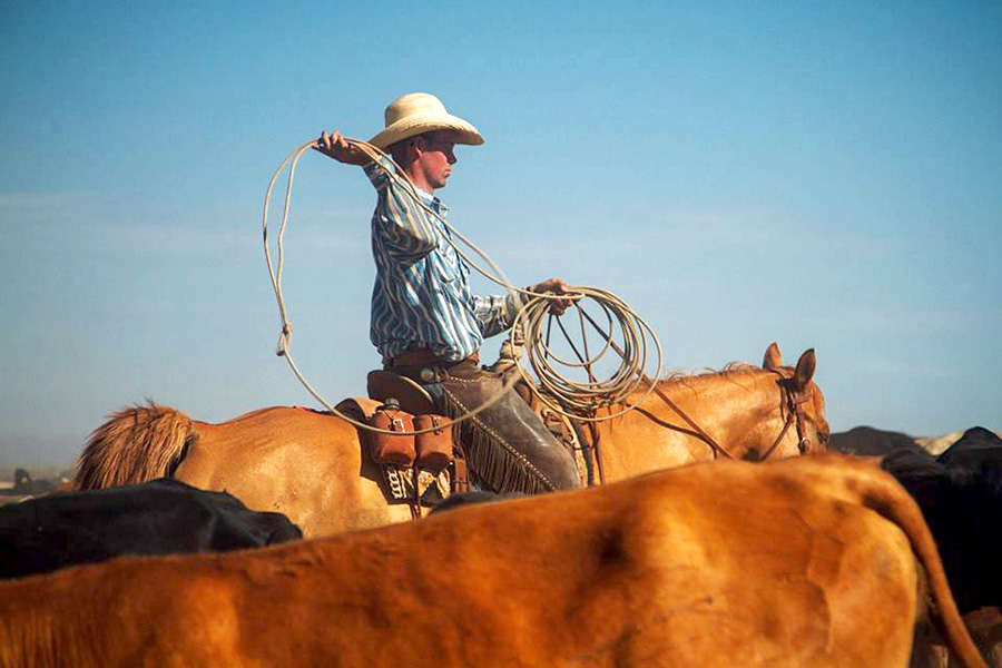 Cattle drives and riding holidays | Equus Journeys