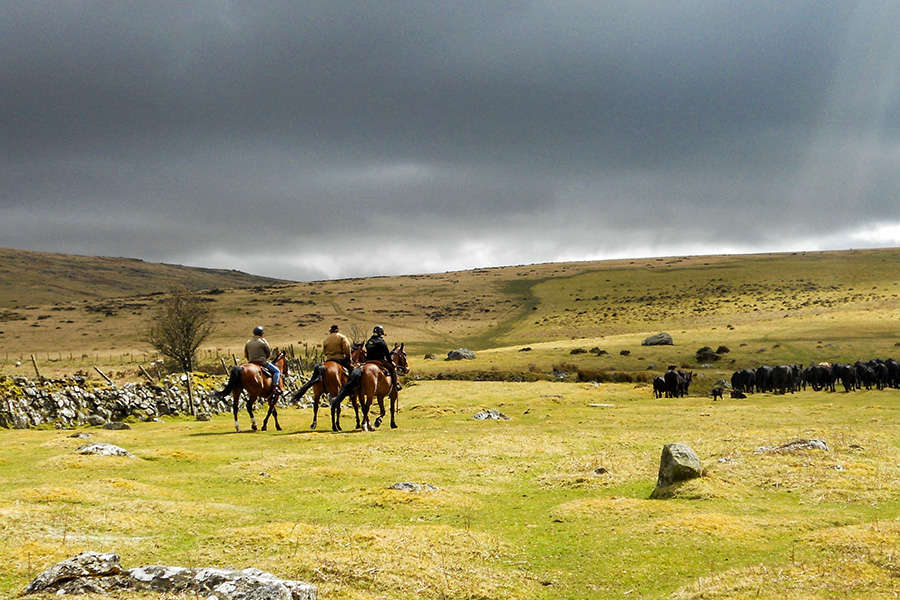 Explore the United Kingdom on horseback | Equus Journeys