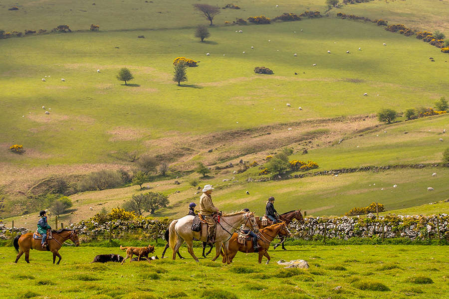 Explore the United Kingdom on horseback | Equus Journeys