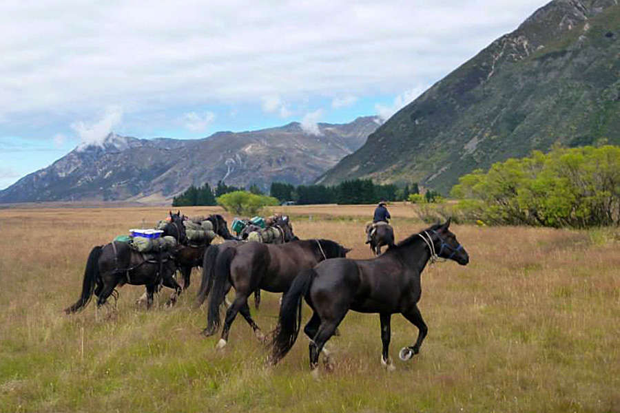 Get in the saddle in New Zealand | Equus Journeys