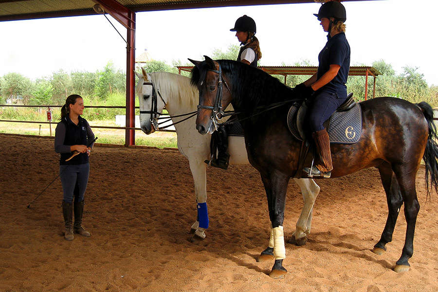 Dressage and Instructional Riding Holidays | Equus Journeys
