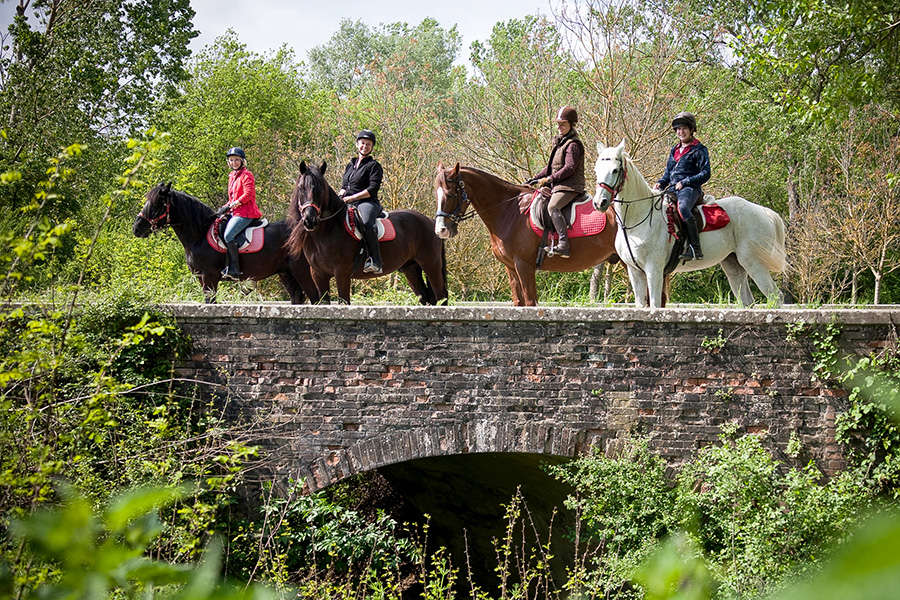 Horse riding holidays and dressage lessons in Italy | Equus Journeys