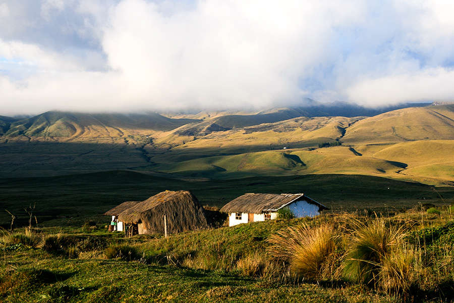 Horseback riding trails in Ecuador | Equus Journeys