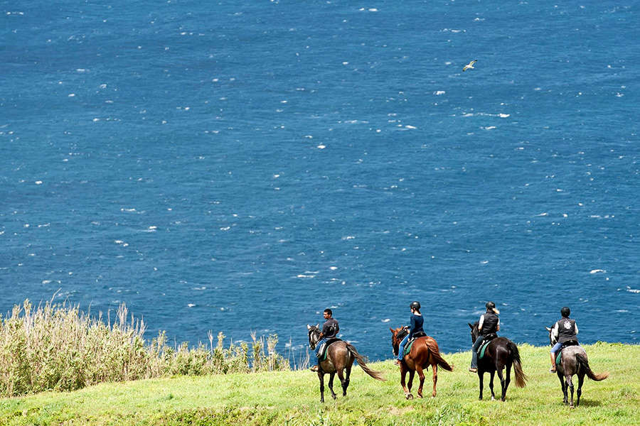 Horse riding holidays and trail rides in Europe | Equus Journeys