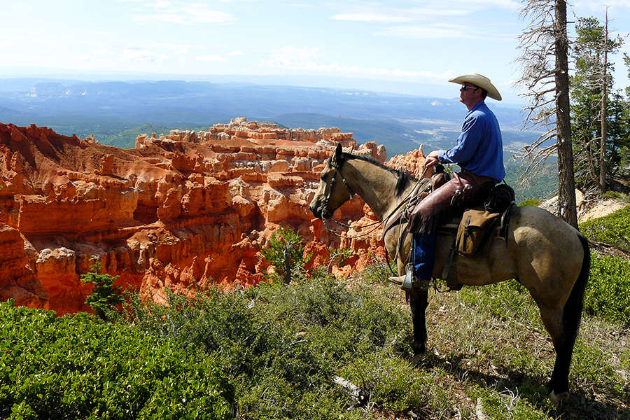 Trail rides, ranches and cattle drives in North America | Equus Journeys
