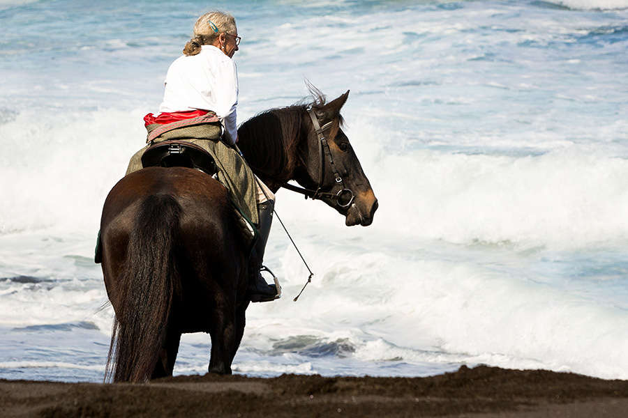 Explore the Azores, Portugal, on horseback | Equus Journeys