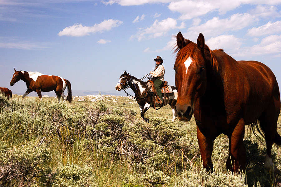 A horse drive ranch holiday across the plains of Idaho | Equus Journeys