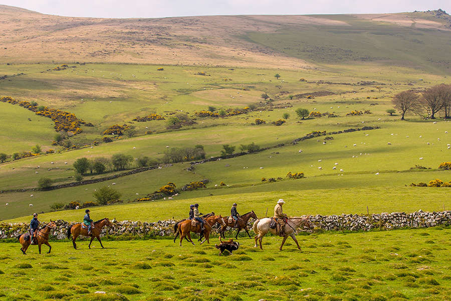 Explore the United Kingdom on horseback | Equus Journeys